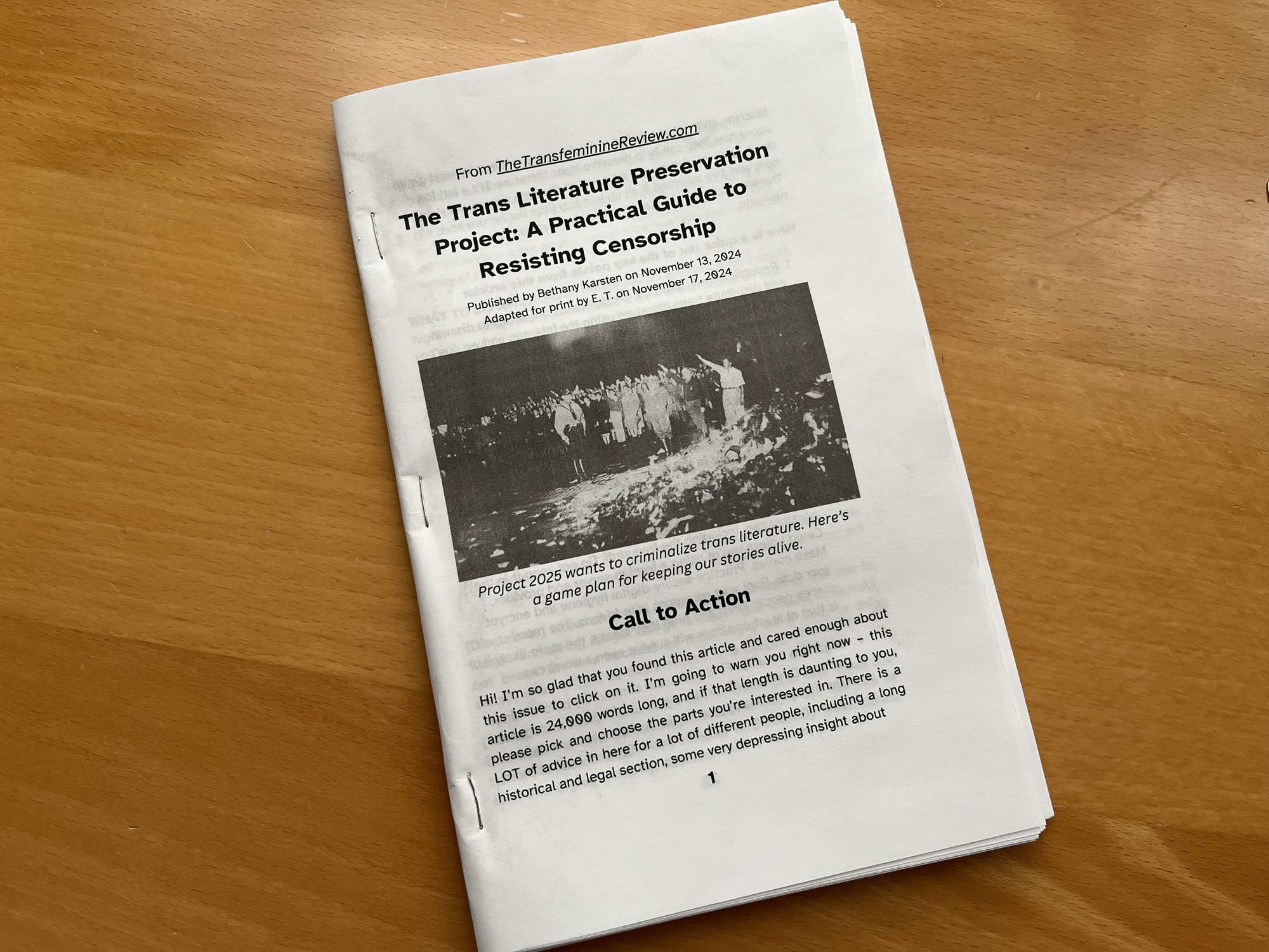 The Transfeminine Review – By Transfemmes. For Transfemmes. About ...